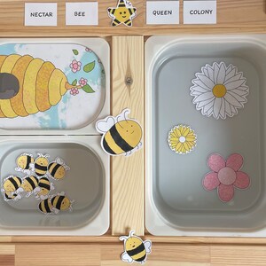 Bee Theme Activity Kit, Classroom Printables, Homeschool Learning ...