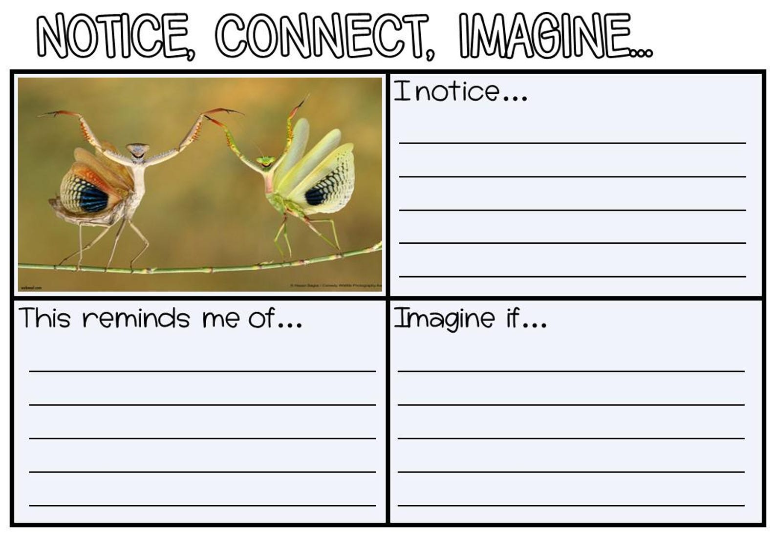 Visual Writing Prompts - Thinking Routines - Reluctant Writers - Writer ...