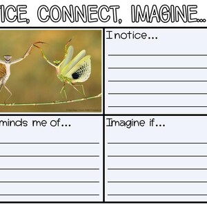 Visual Writing Prompts - Thinking Routines - Reluctant Writers - Writer ...