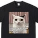 Certified Freak Cat Meme Shirt, Match My Freak, Meme Shirt, Funny Cat ...