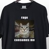 Certified Freak Cat Meme Shirt, Match My Freak, Meme Shirt, Funny Cat ...