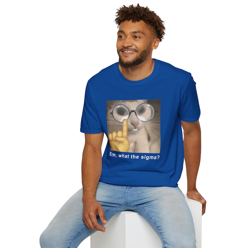 Erm What the Sigma Meme Shirt, Cat Meme Shirts, Erm What the Sigma Cat ...