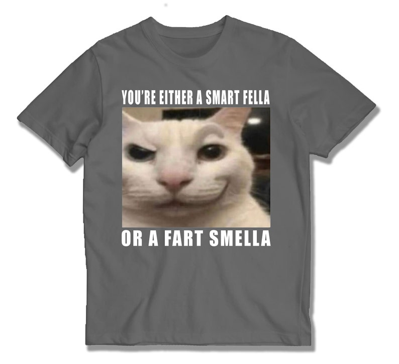 You're Either a Smart Fella or a Fart Smella Shirt, Cat Meme T-shirt ...