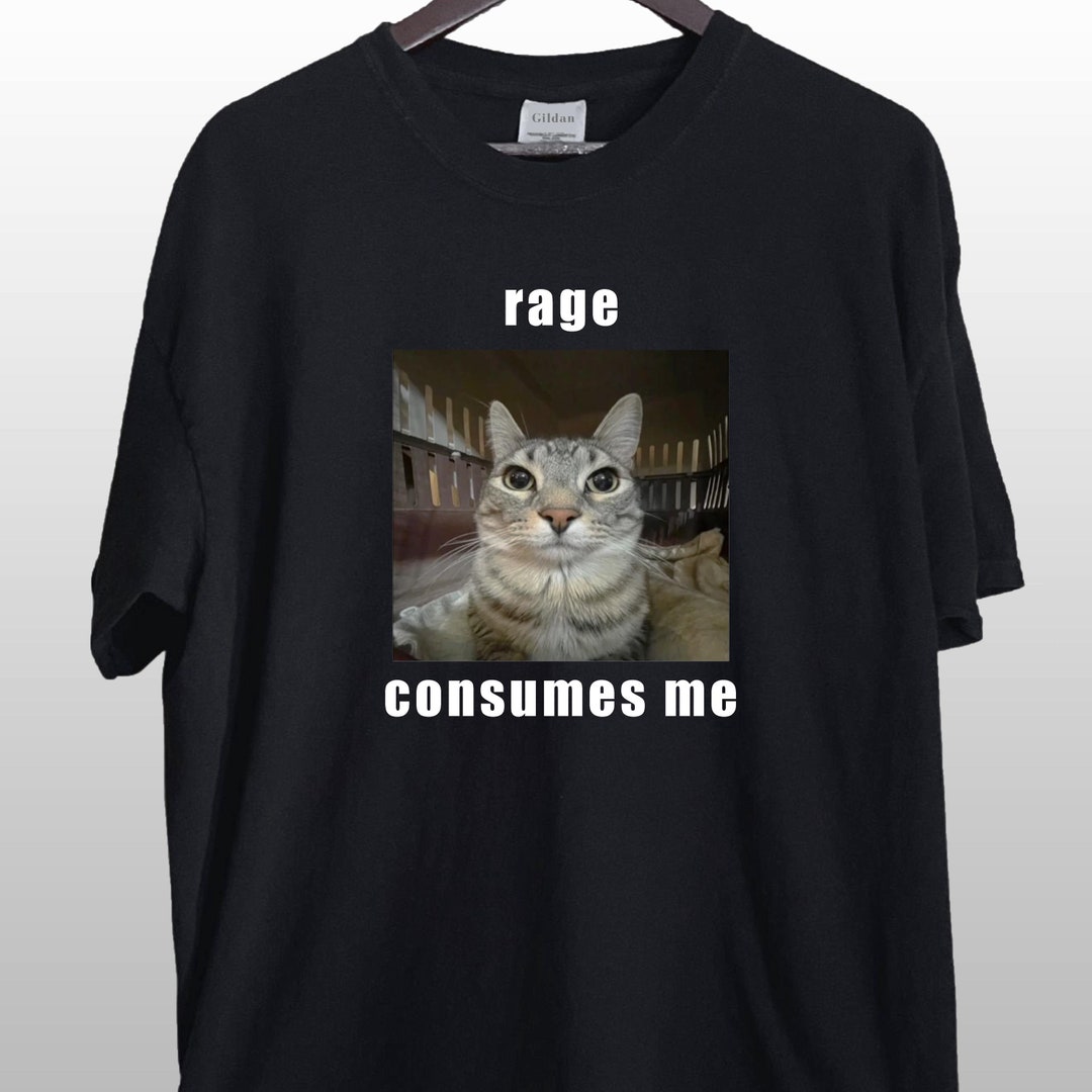 Rage Consumes Me Cat Meme Shirt, Rage is Consuming Me Cat Tshirt, Funny ...