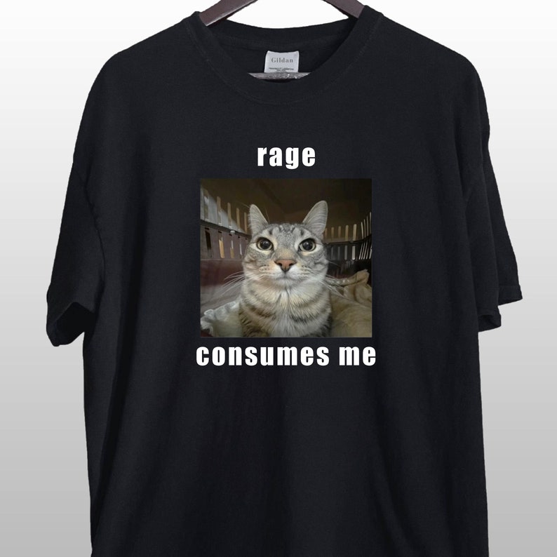 Rage Consumes Me Cat Meme Shirt, Rage is Consuming Me Cat Tshirt, Funny ...