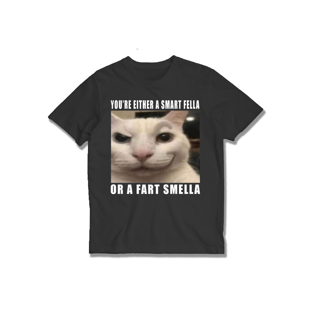 You're Either a Smart Fella or a Fart Smella Shirt, Cat Meme T-shirt ...