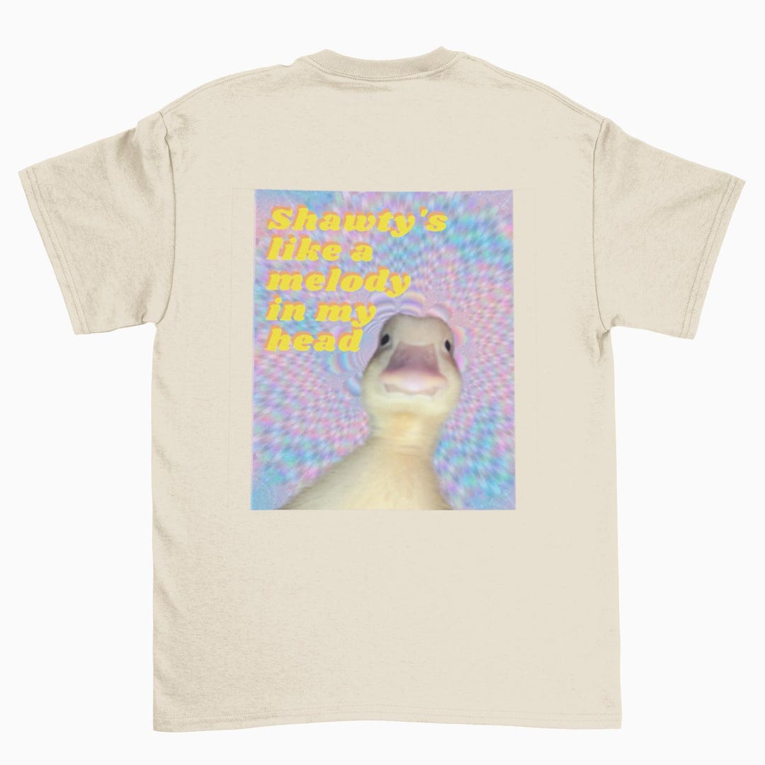 Shawty Duck Meme Shirt, Silly Meme Tshirt for Girls, Funny Unisex ...