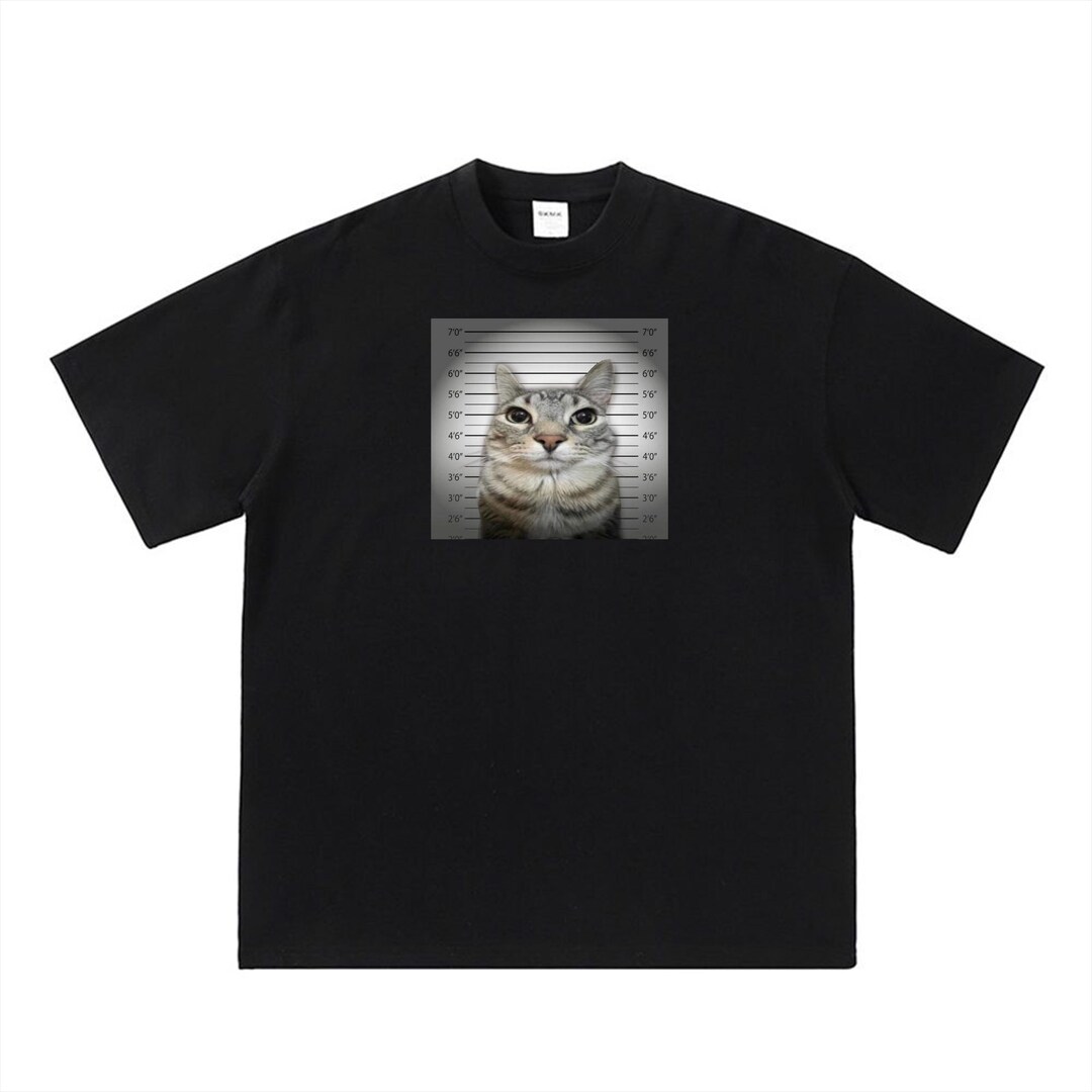Funny Cat Mugshot Shirt, Cat Meme Shirt, Rage is Consuming Me, Cat Meme ...