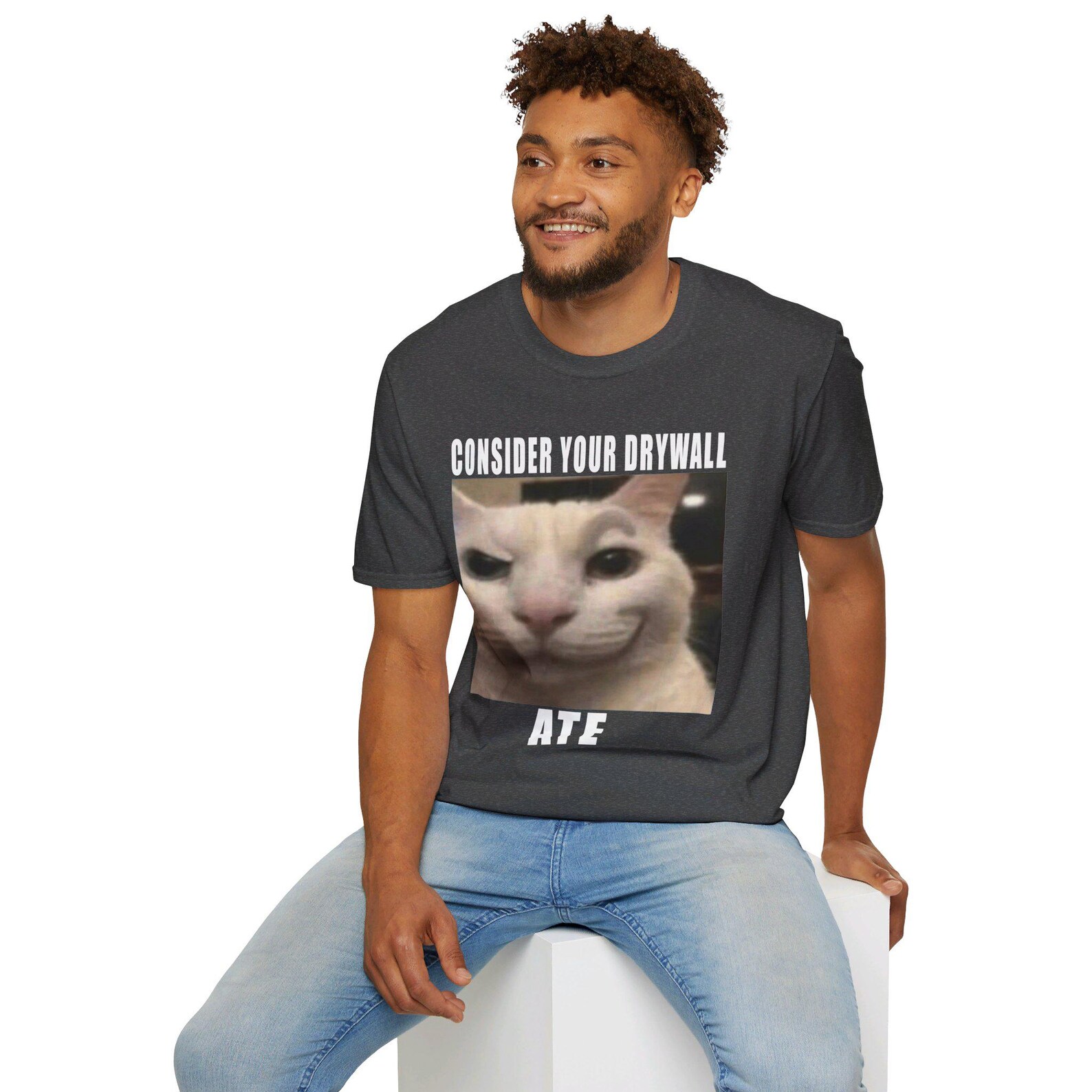 Consider Your Drywall Ate, Cat Meme Shirt, I Eat Drywall Tshirt ...