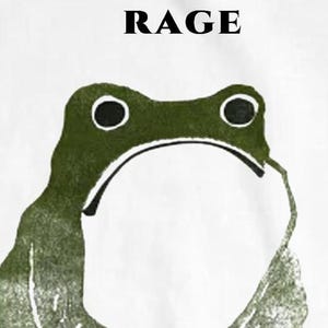 Rage Consumes Me Frog Shirt, Frog Pond Tshirt, Meme Frog Shirt, Vintage ...