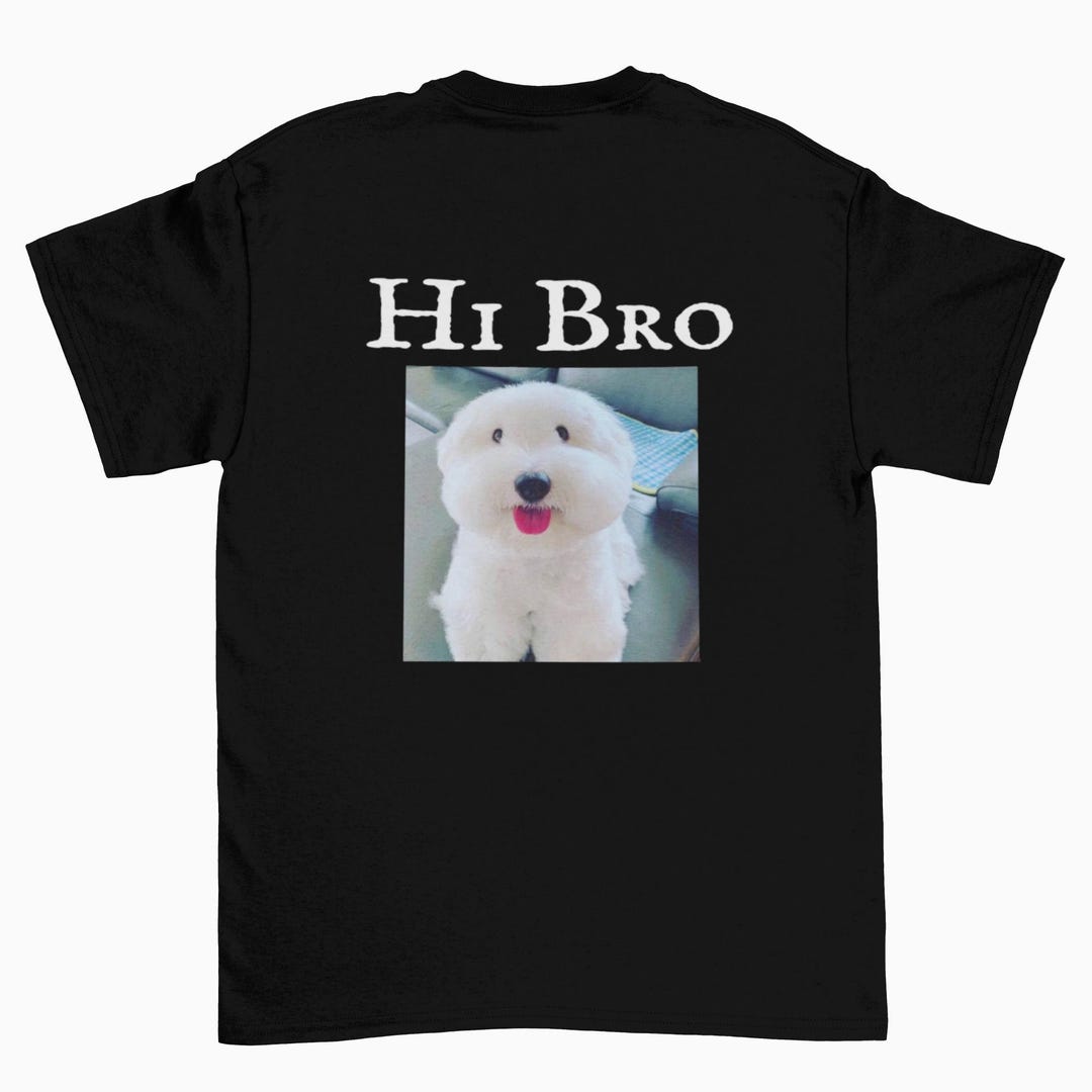 Hi Bro Tshirt, Funny Dog Meme Shirt, Hi Bro Dog Shirt, Tiktok Meme ...
