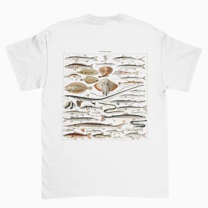 Educational Fish Graphic Tee, Retro Sea Creature T-shirt, Deep Sea ...