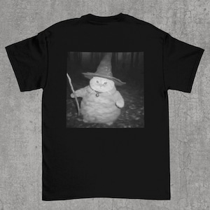 Wizard Fat Cat Shirt - Etsy