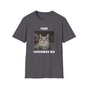Rage Consumes Me Cat Meme Shirt, Rage is Consuming Me Cat Tshirt, Funny ...