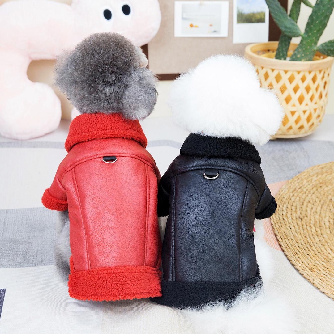Faux Sherpa Dog Biker Jacket | Dog Fleece Coat | Cute Dog Clothing Tops ...