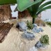 Tropical Island Planter - Etsy