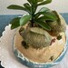 Tropical Island Planter - Etsy