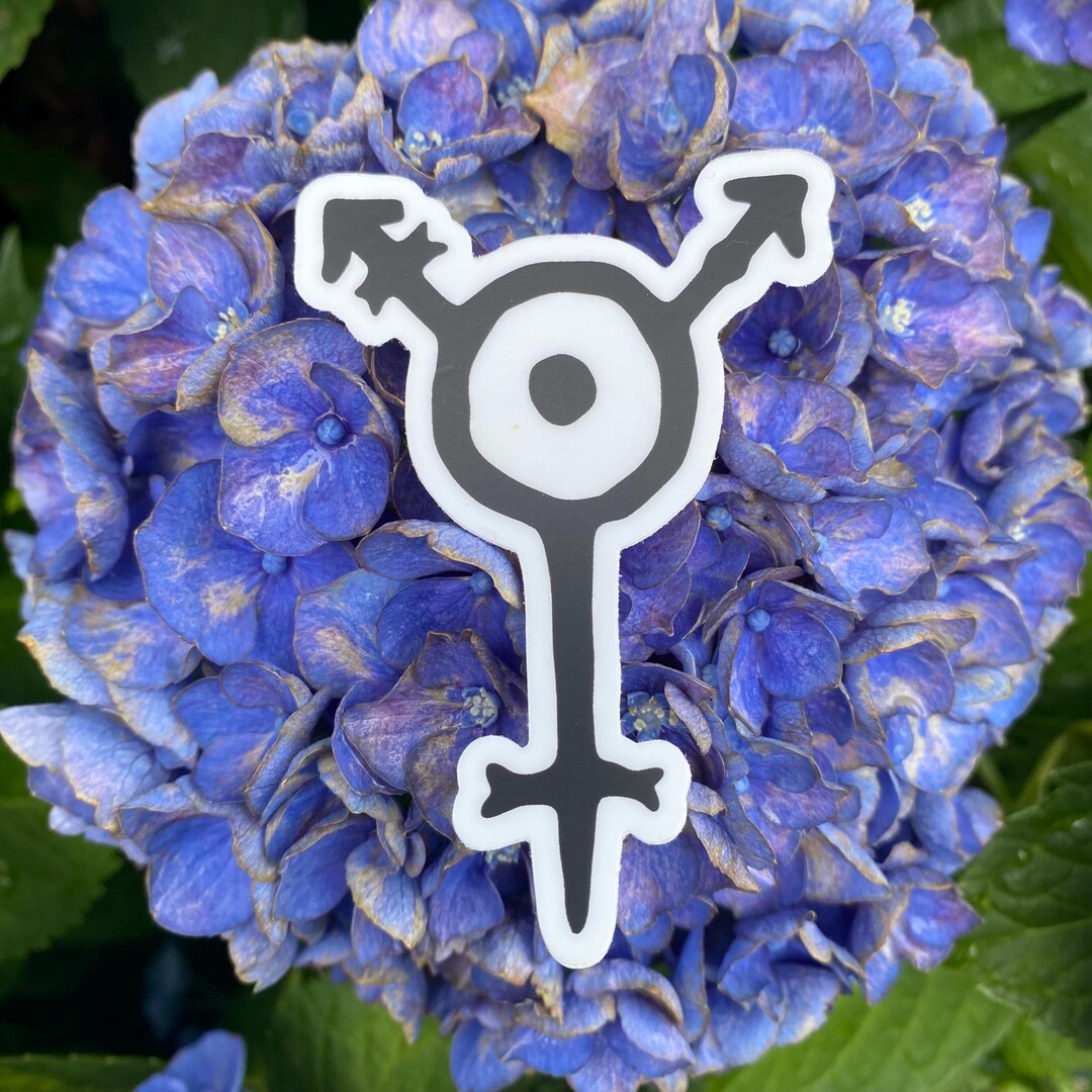 Trans Sigil | Transgender, Pride, Queer, Vinyl Sticker | 3x2" - Etsy