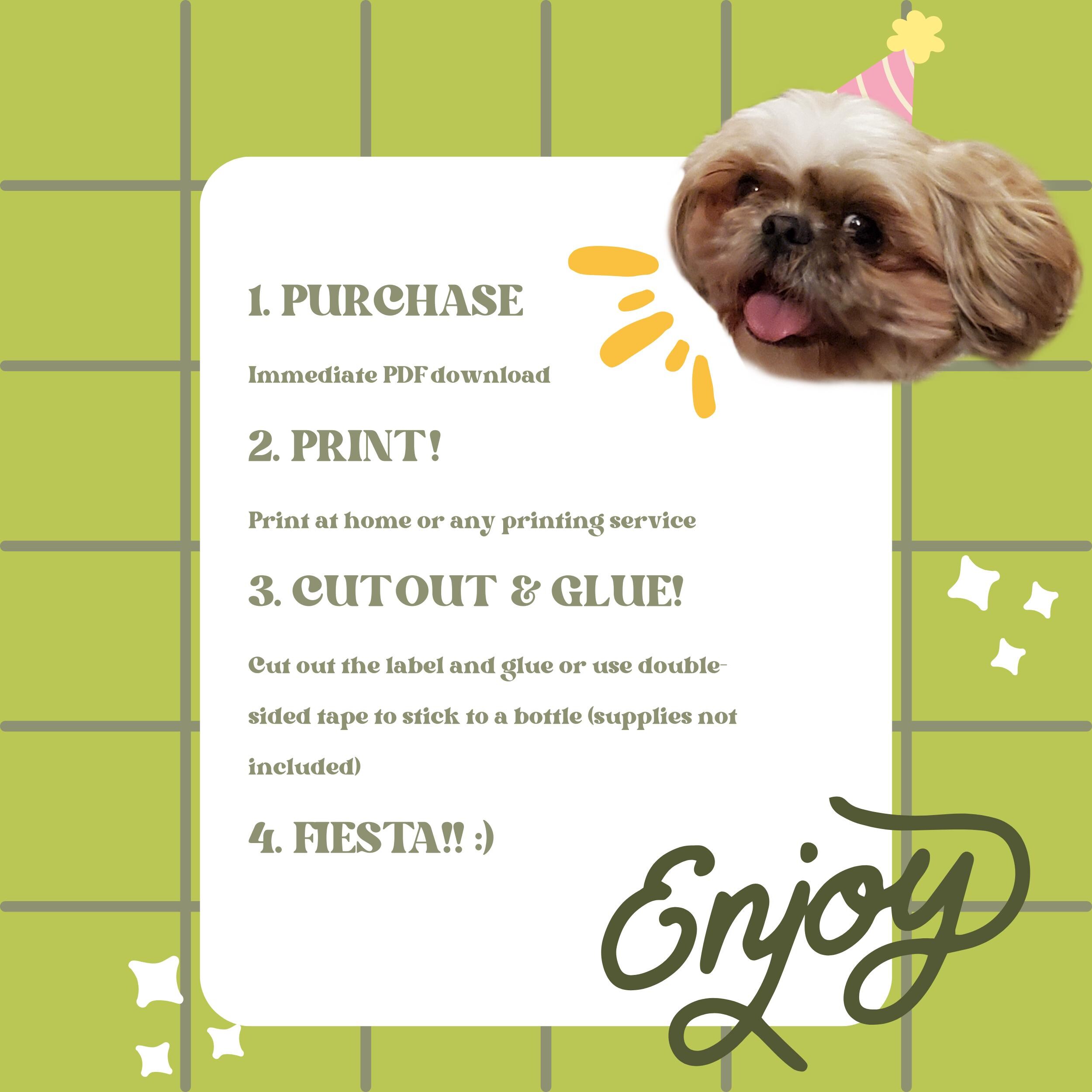 Capybara Printable Water Bottle Label for Parties - DIY - Printable PDF ...