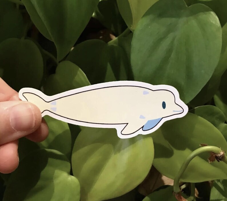 Beluga Sticker Whale Stickers Ocean Animal Stickers Seal Creatures ...