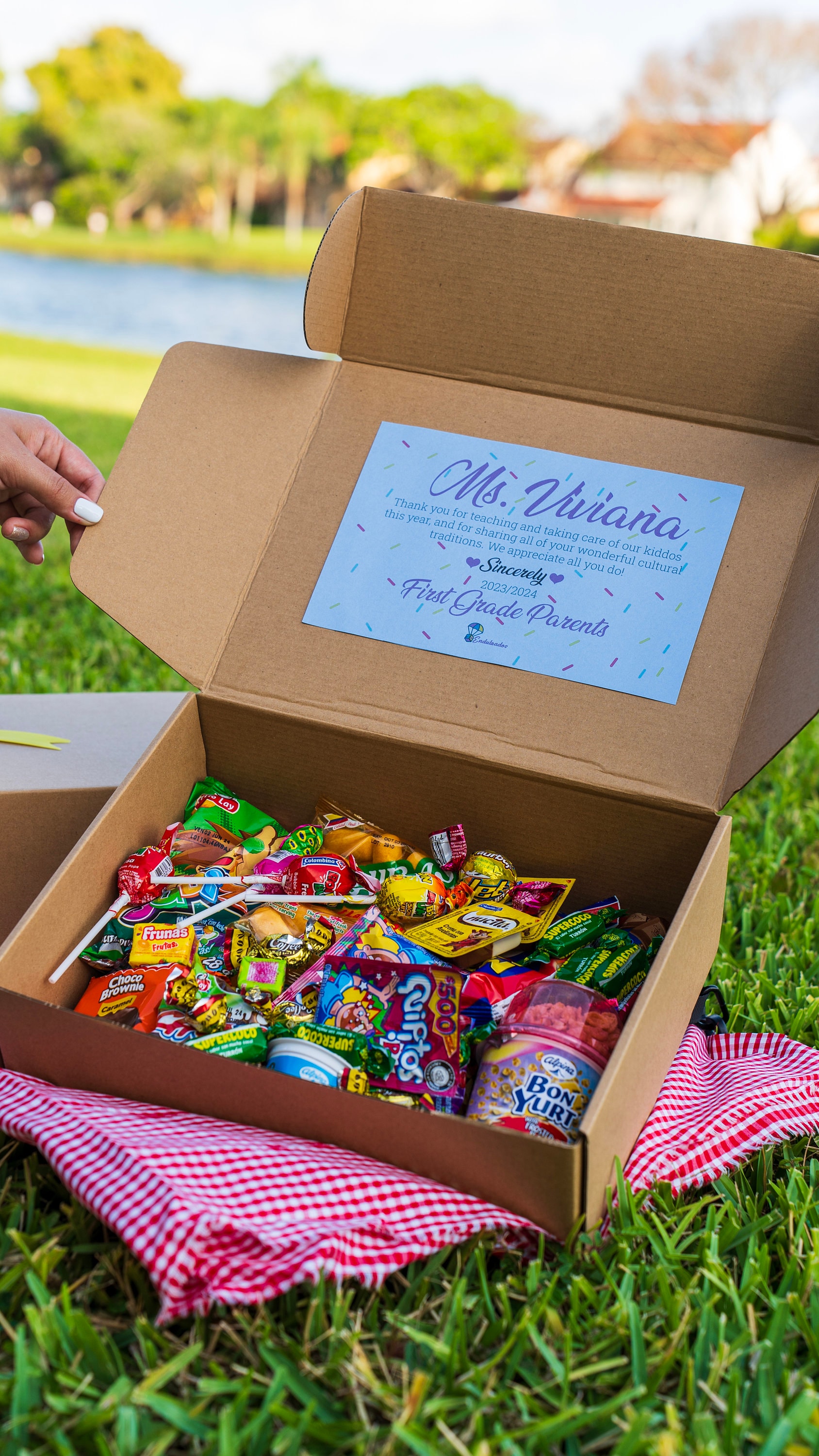 Colombia Candies Gift Box 40pcs, Colombian Day Gift, Colombia Snacks ...