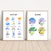 Seasons Poster, Weather Chart, Weather Chart, Educational Posters ...