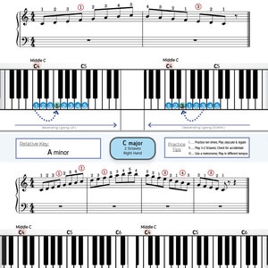 Major Minor Scales - the Piano Teacher: Book 1, Step by Step ...