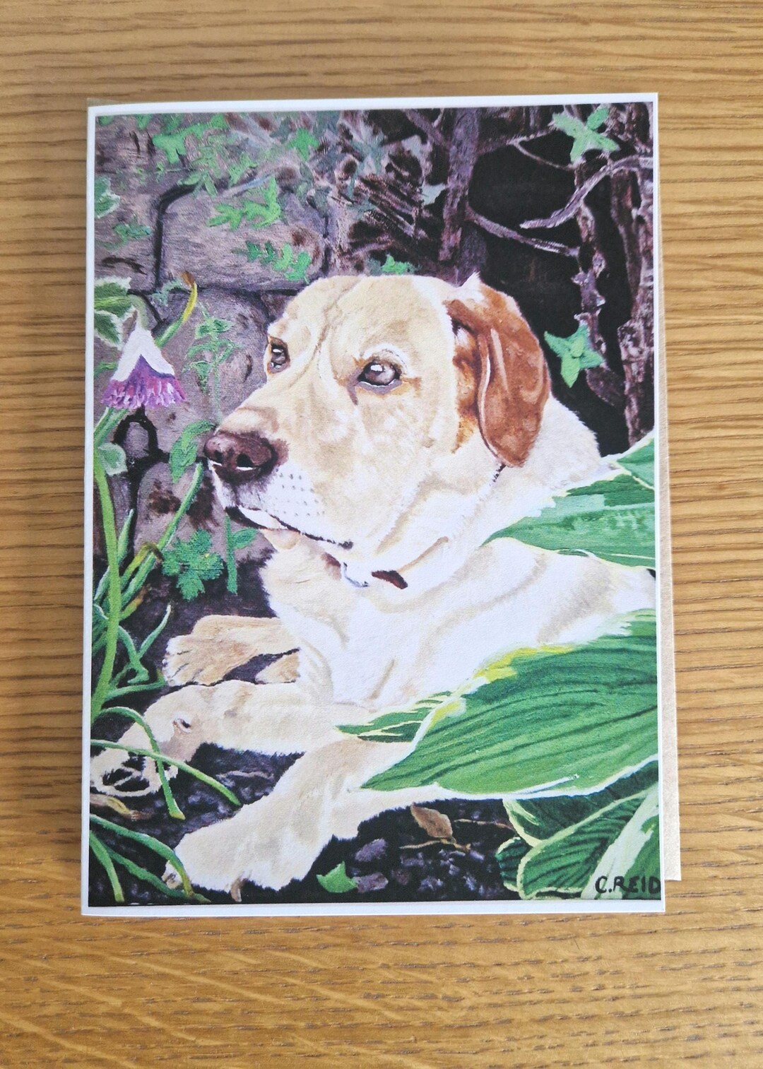 Golden Labrador Greeting Card Dog Greetings Card Art Card Animal Card ...