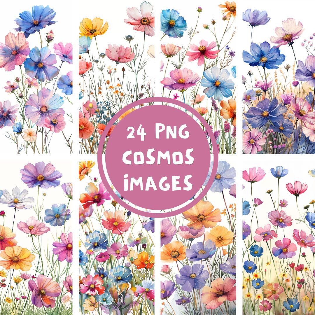 Wildflower Cosmos Commercial Use 24 PNG Spring Watercolor Illustrations ...