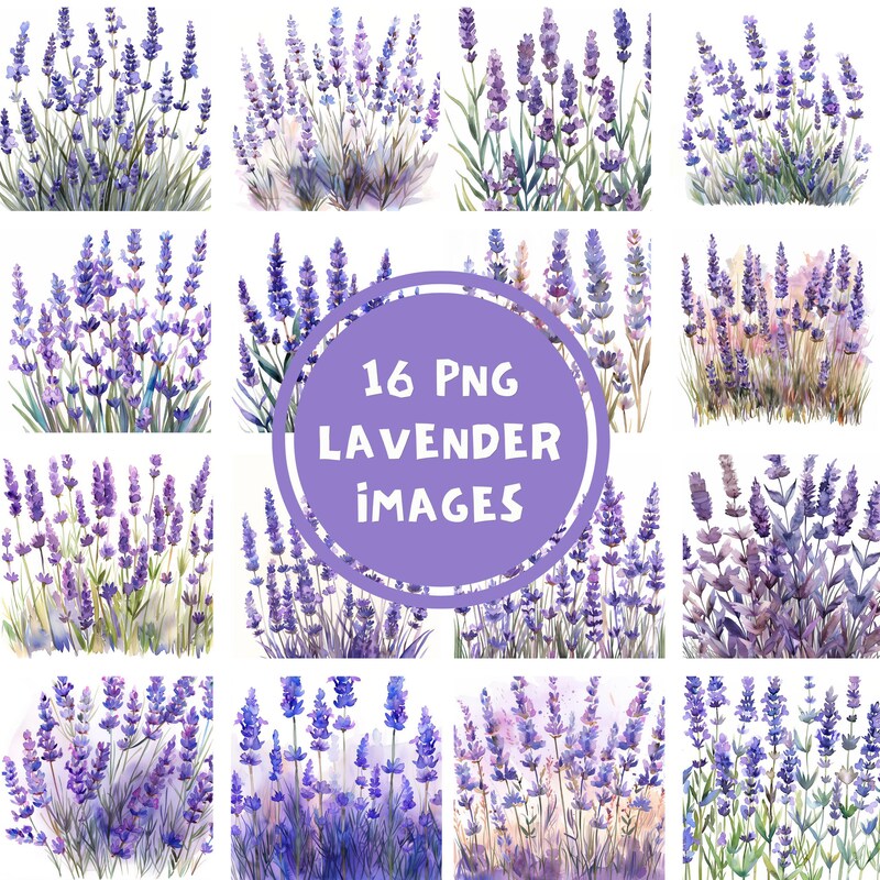 Lavender Watercolor - Etsy