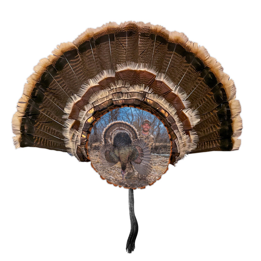 Custom Turkey Fan Mount - Turkey Fan With Color Photo - Turkey Fan ...