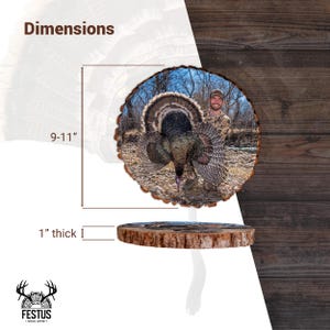 Custom Turkey Fan Mount - Turkey Fan With Color Photo - Turkey Fan ...