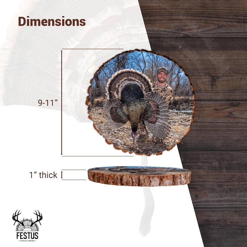 Custom Turkey Fan Mount - Turkey Fan With Color Photo - Turkey Fan ...