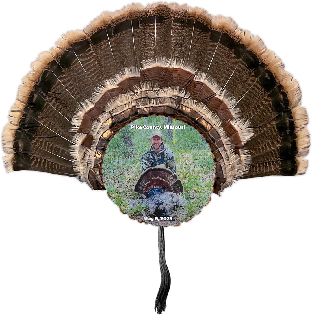 Custom Turkey Fan Mount - Turkey Fan With Color Photo - Turkey Fan ...