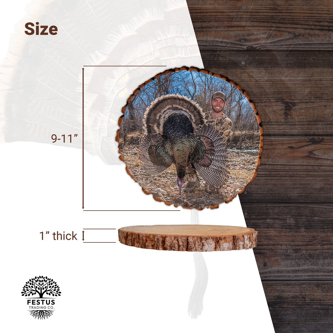 Custom Turkey Fan Mount - Turkey Fan With Color Photo - Turkey Fan ...