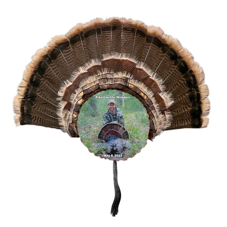 Custom Turkey Fan Mount - Turkey Fan With Color Photo - Turkey Fan ...