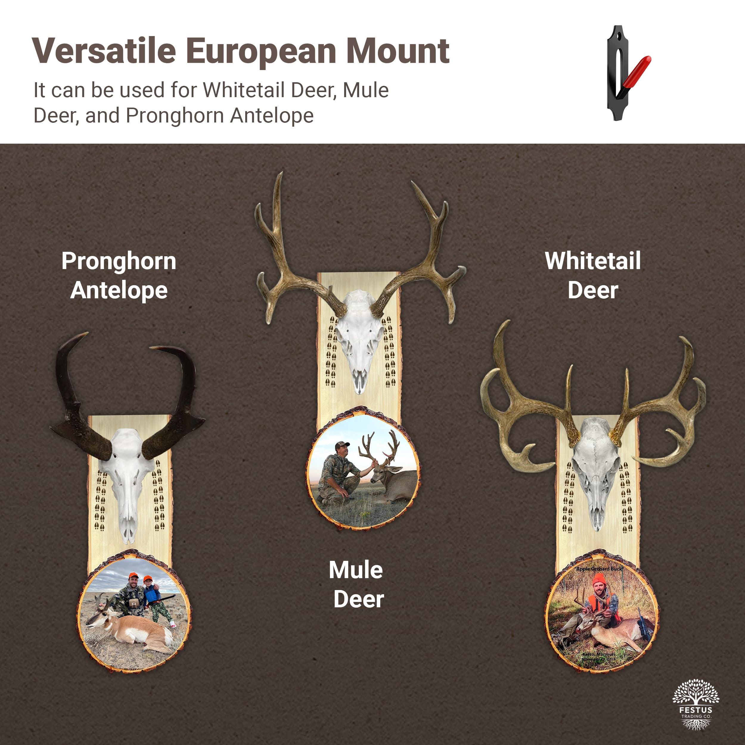 European Mounting Plaque With Epoxy Resin Finish - Custom Color Photo ...