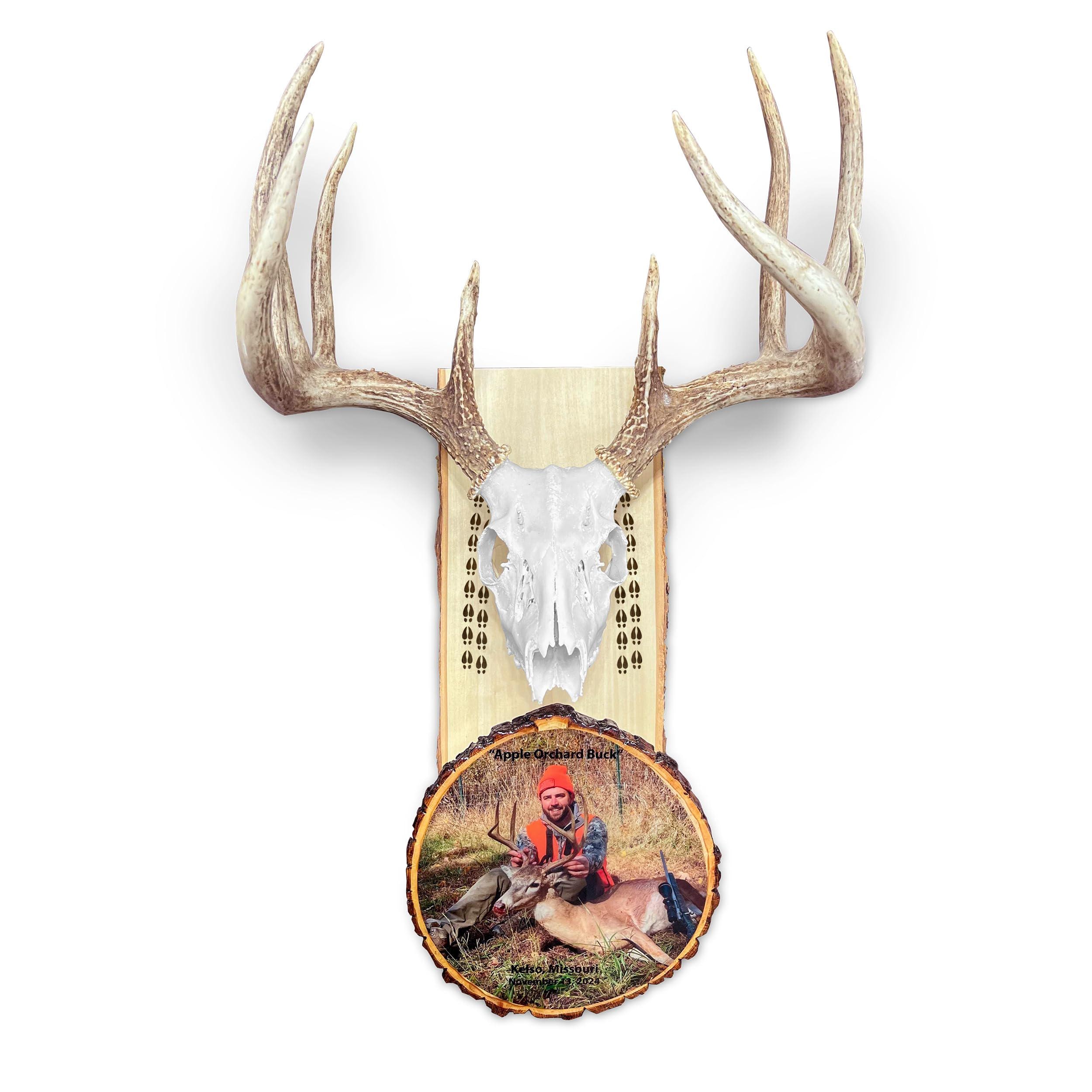 European Mounting Plaque With Epoxy Resin Finish - Custom Color Photo ...