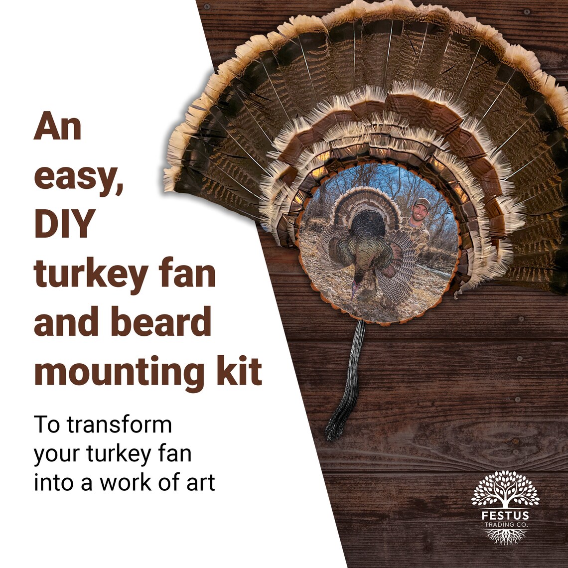 Custom Turkey Fan Mount - Turkey Fan With Color Photo - Turkey Fan ...