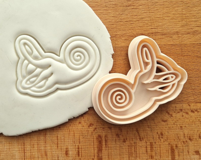 Cochlea Cookie Cutter Ear, Anatomical Human Body Cookie Cutter Pastry ...