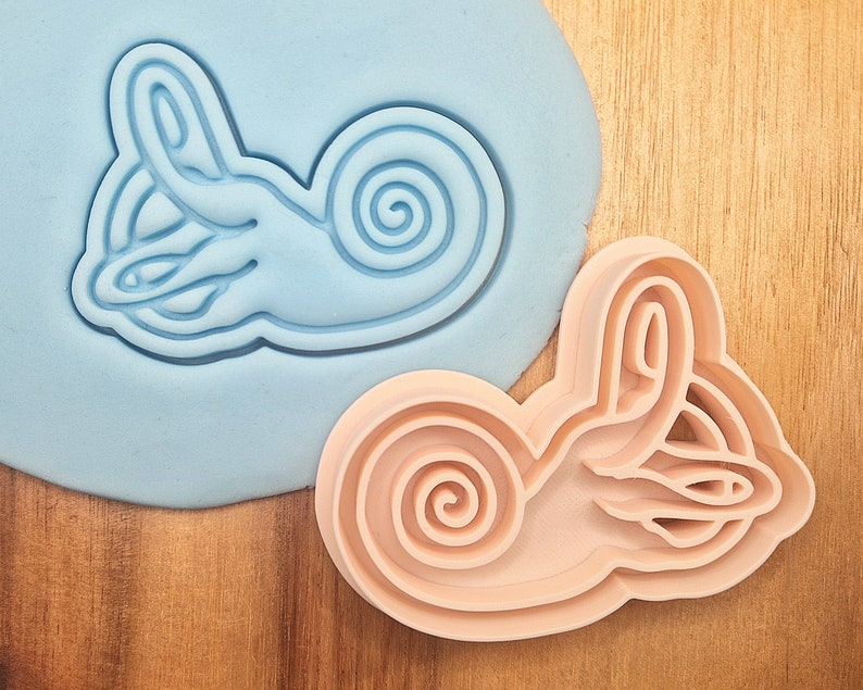 Cochlea Cookie Cutter - Ear, Anatomical - Human Body Cookie Cutter ...