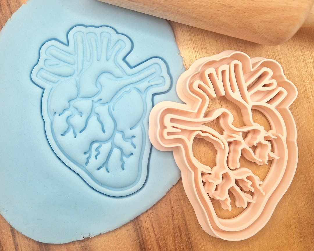 Anatomical Heart Cookie Cutter - Medicine, Medical, Science Students ...