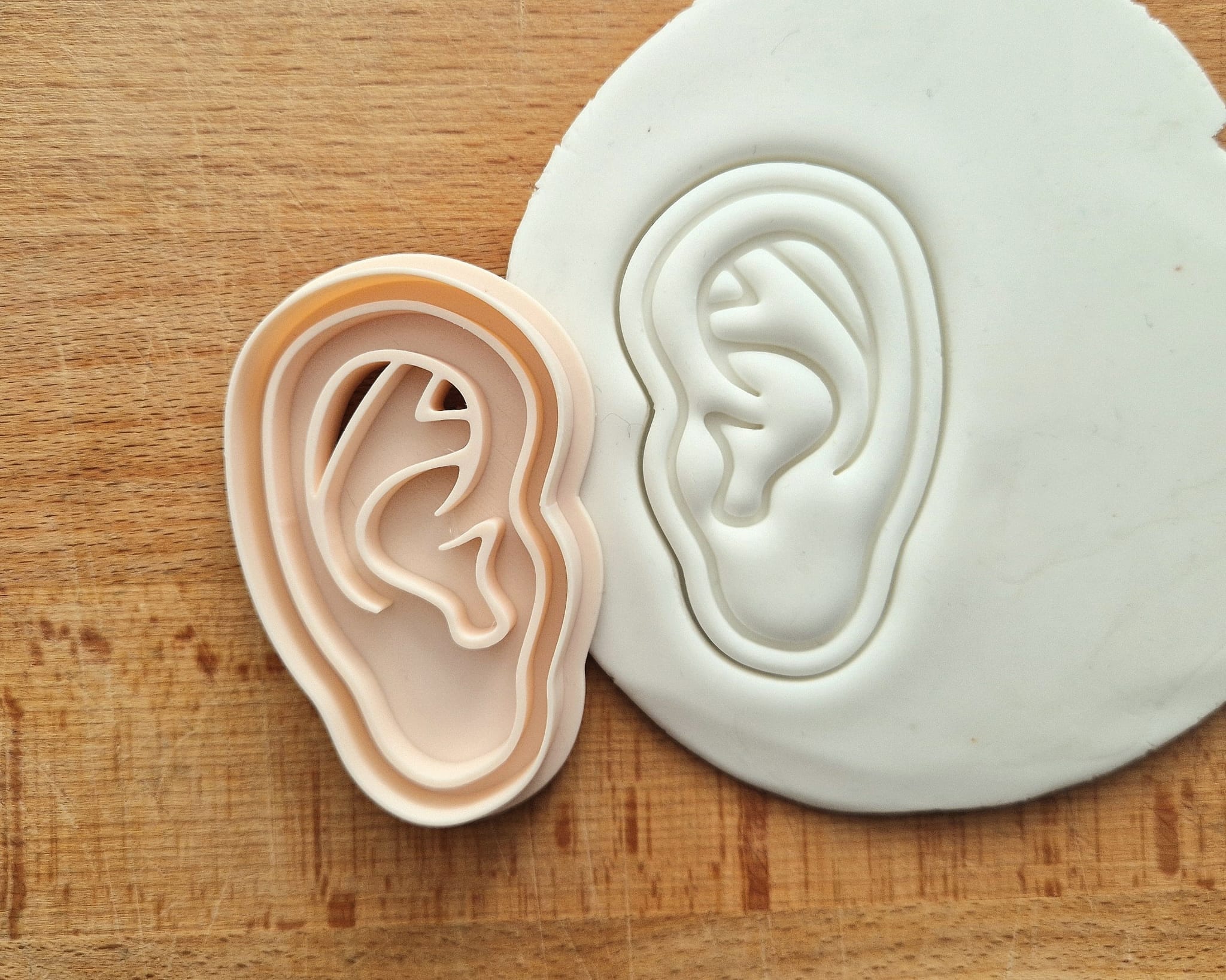Cochlea Cookie Cutter Ear, Anatomical Human Body Cookie Cutter Pastry ...