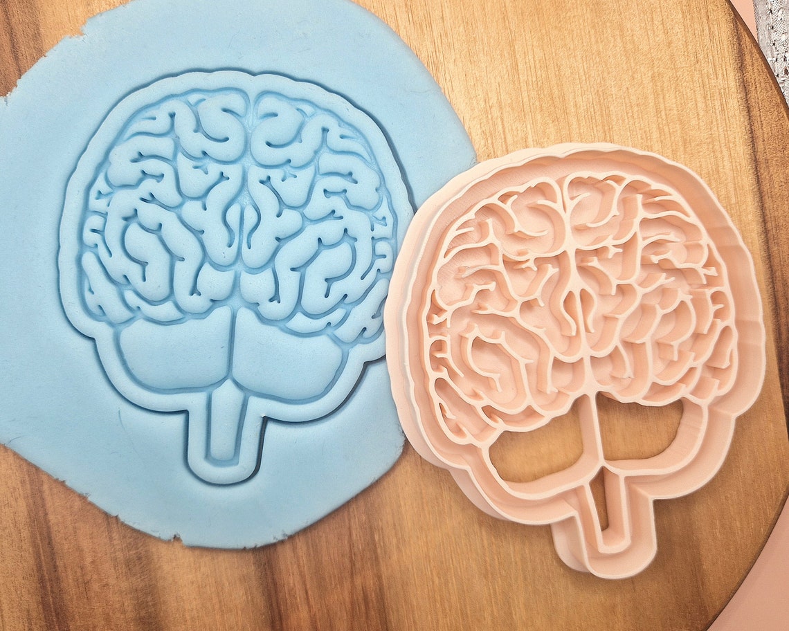 Anatomical Brain Back Cookie Cutter - Medicine, Medical, Science ...