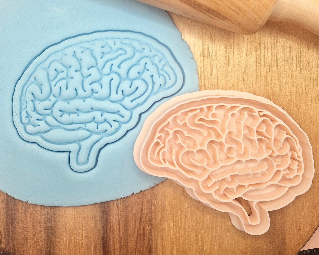 Anatomical Brain Side Cookie Cutter - Medicine, Medical, Science ...