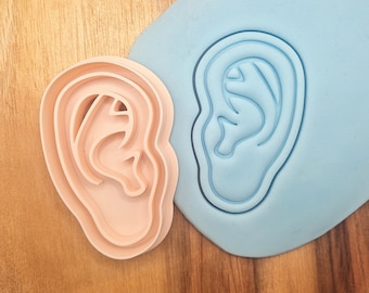 Cochlea Cookie Cutter - Ear, Anatomical - Human Body Cookie Cutter ...