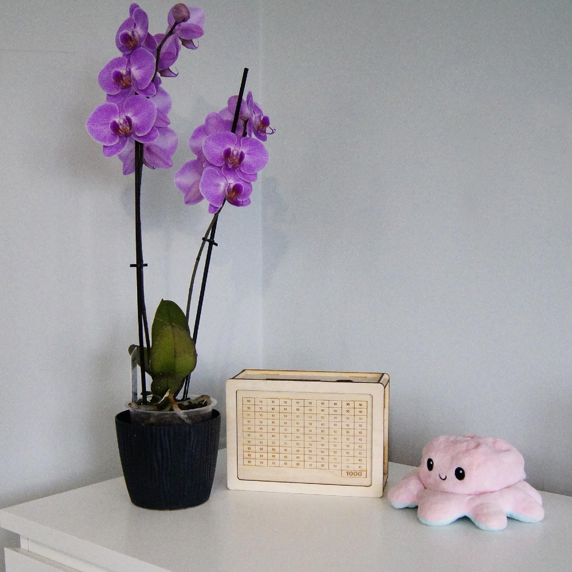 Laser Cut Moneybox | Target Piggy Banks | Money Bank File | Piggybank ...