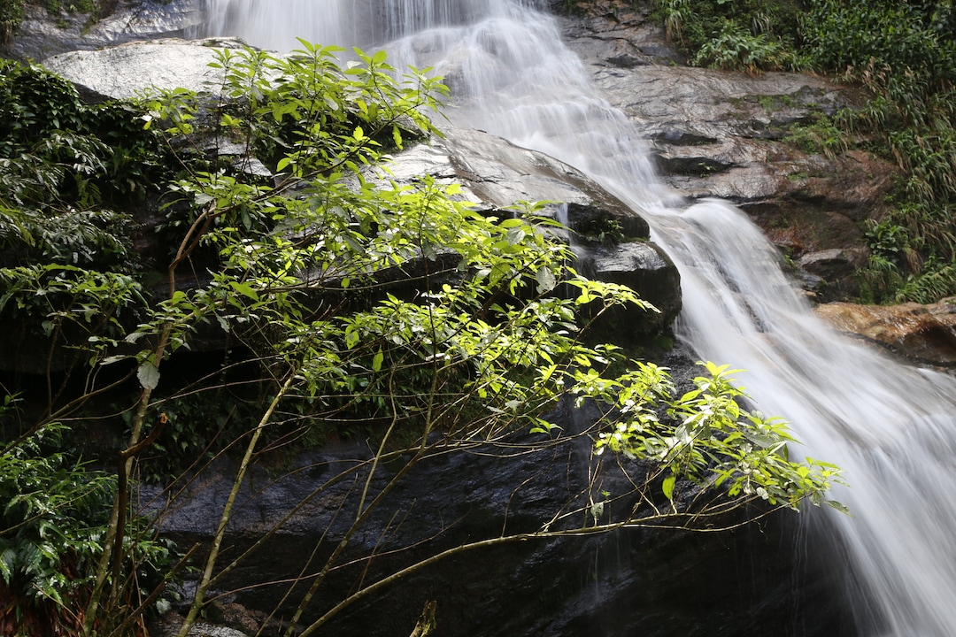 The Taunay Waterfall Tijuca National Park Rio De Janeiro - Etsy