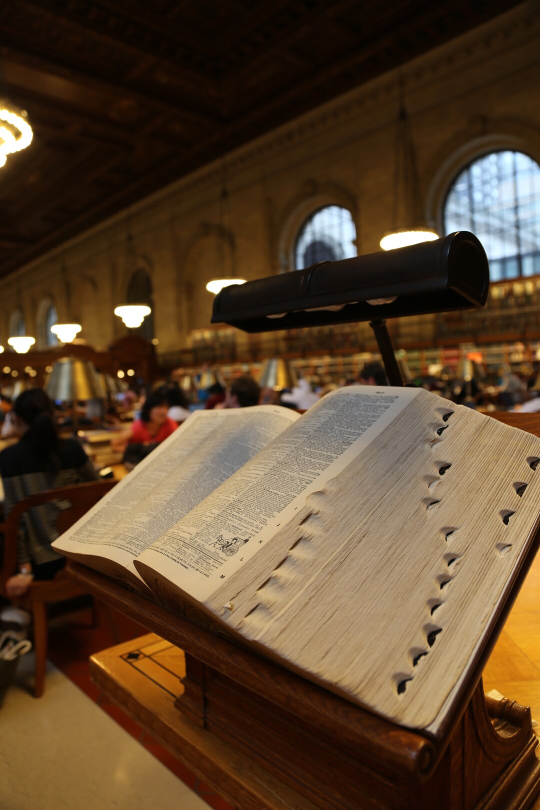 Dictionary New York Public Library - Etsy