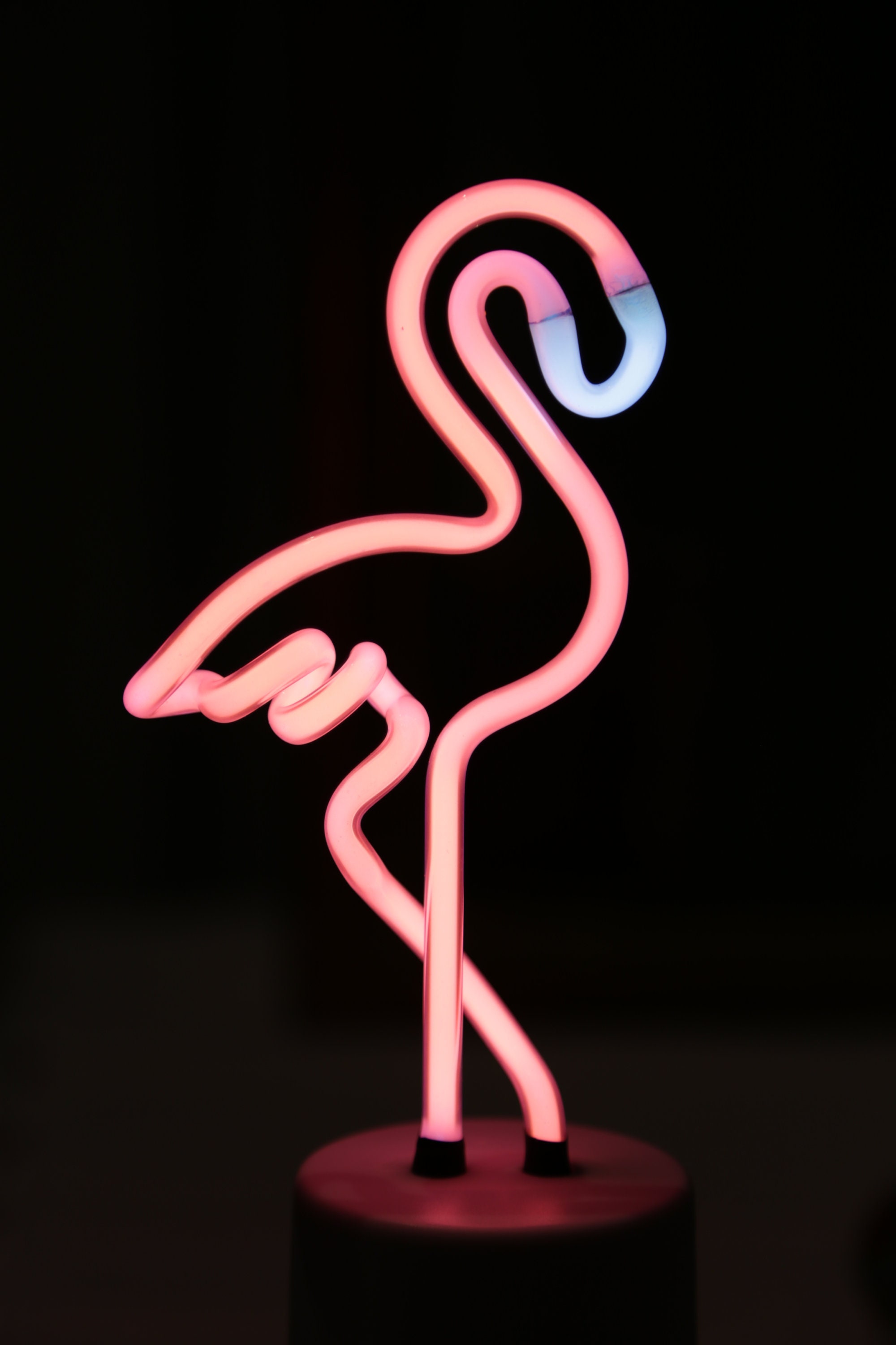 Pink Flamingo Light (photo) - Etsy